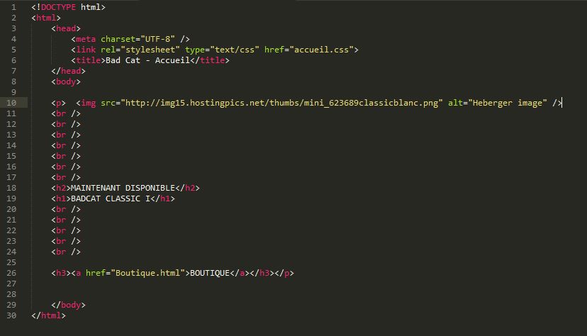 Problèmes HTML et CSS - page 1 - OpenClassrooms